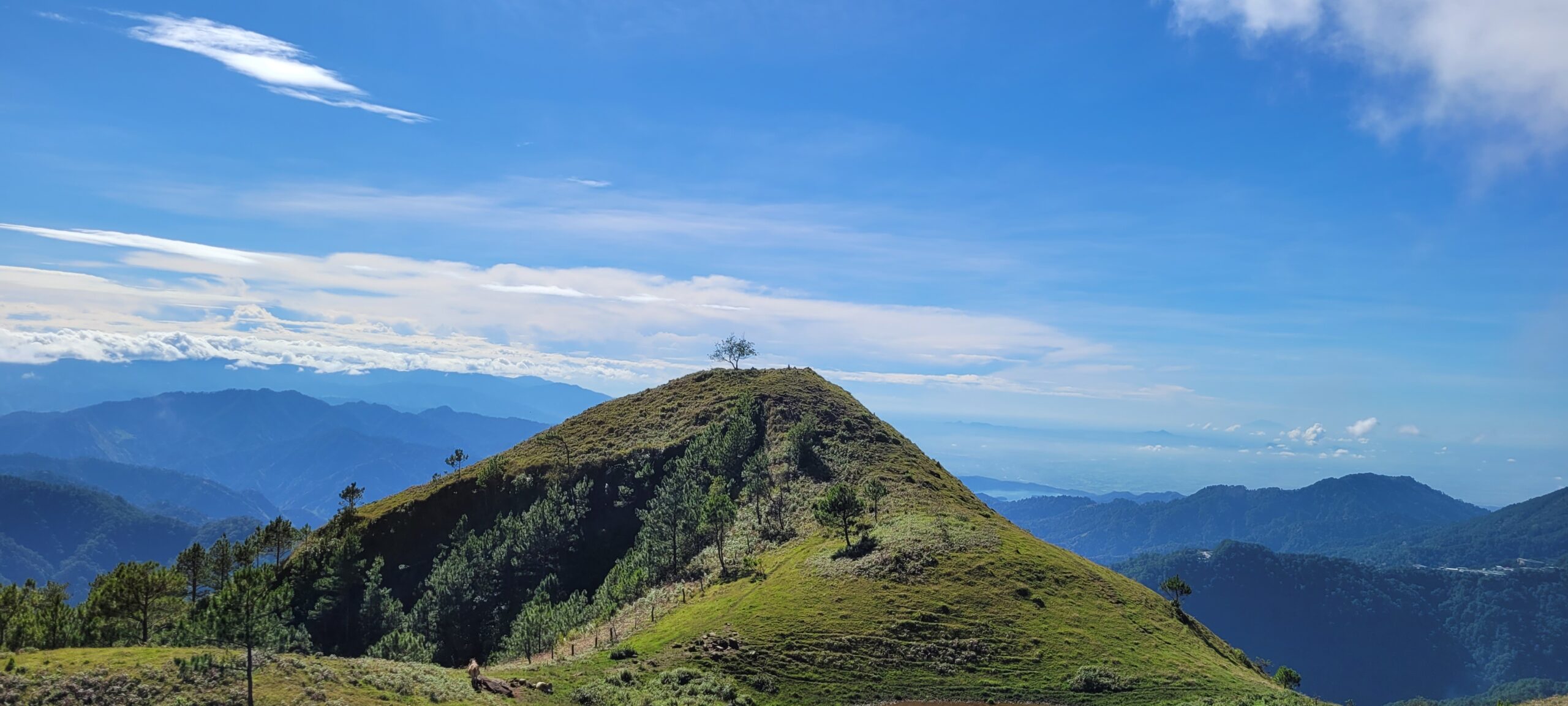 My Rookie Hiking Mistakes at Mt. Ulap – Luscious Mind